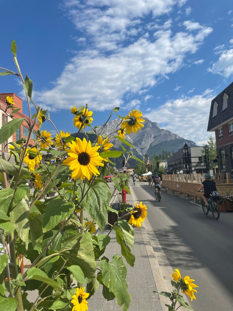 Long Weekend in Banff Recap (2021) - The Impatient Tourist